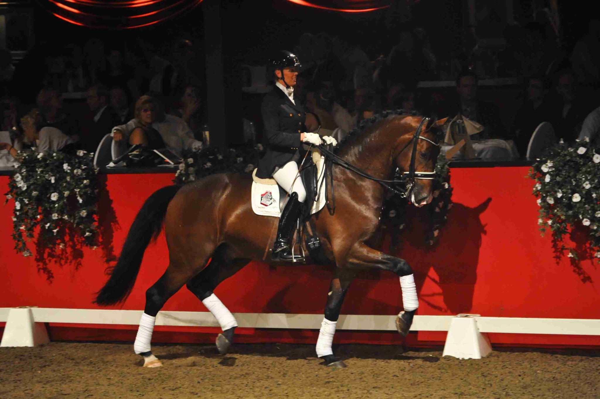 Equine Elite